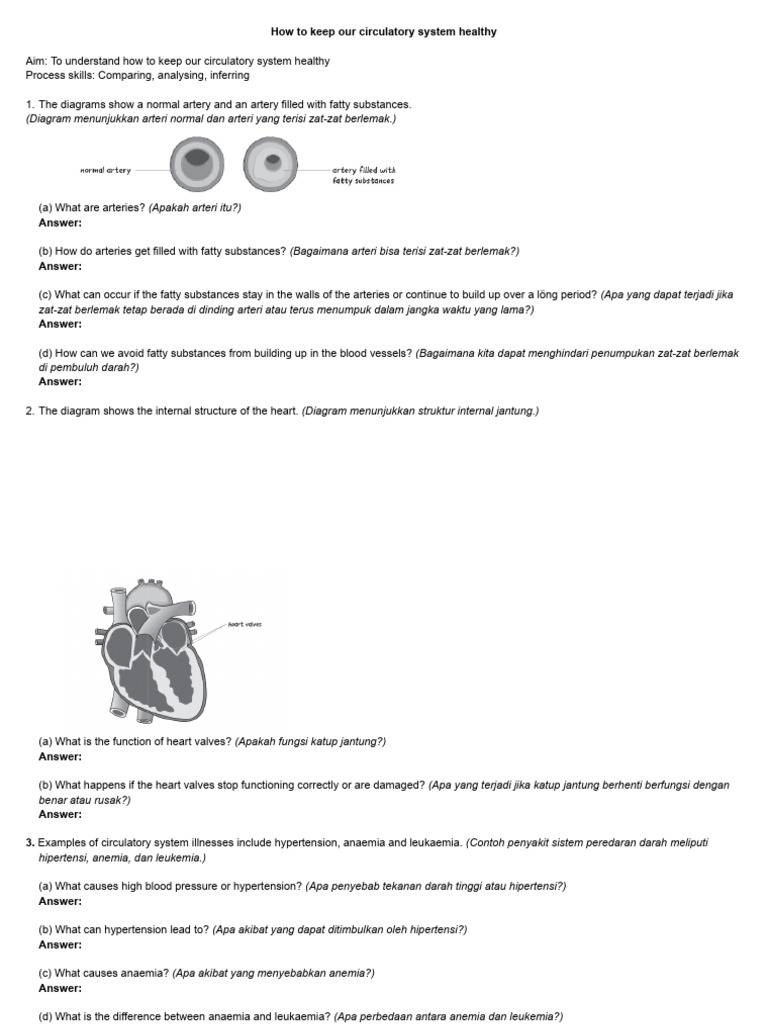 How to keep our circulatory system healthy | PDF