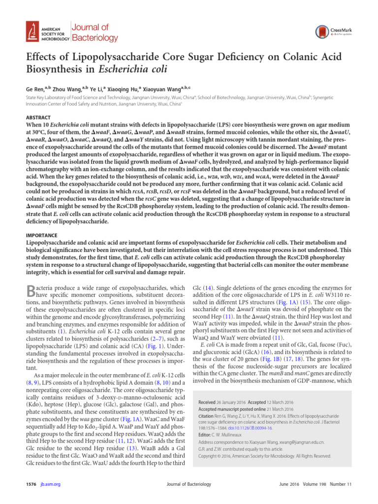 Wzc Effects of Lipopolysaccharide Core Sugar Deficiency on Colanic Acid Biosynthesis in ...