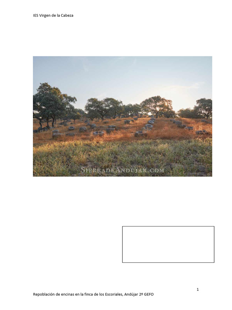 Repoblaci%c3%93n de Encinas en La Finca de Los Escoriales (Correcci%c3 ...