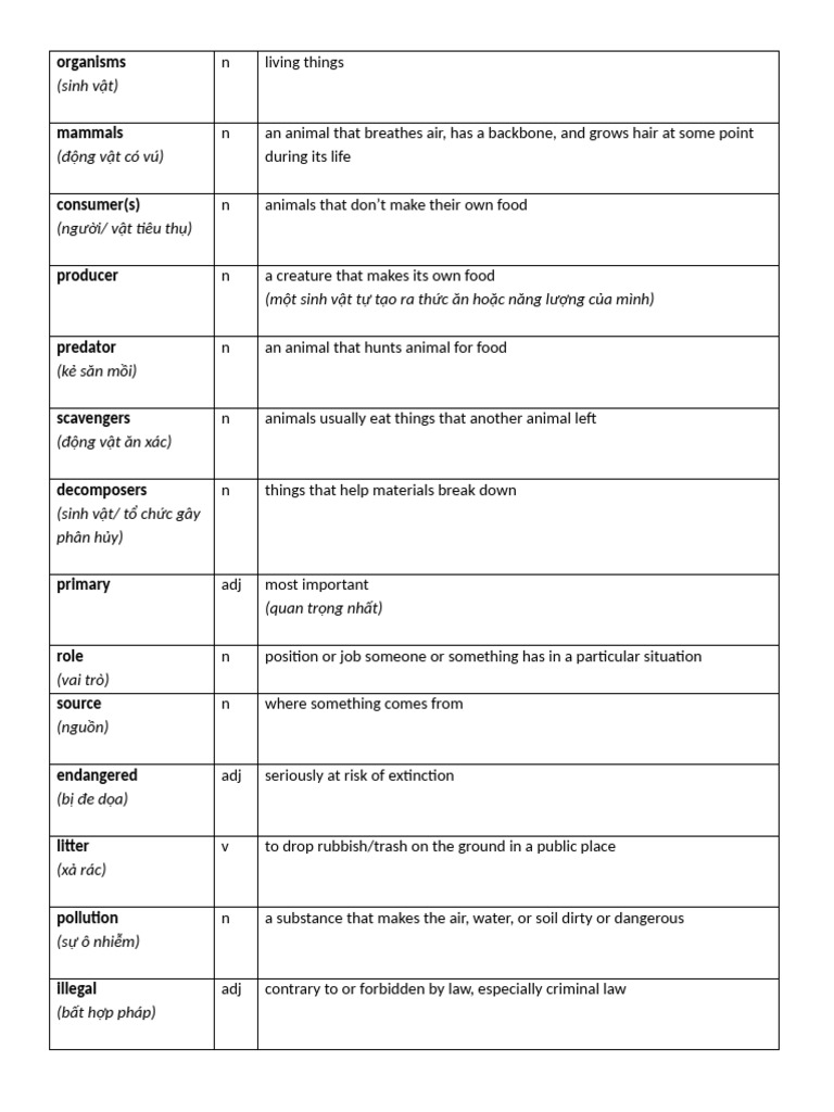 Jason's Final Term 2 Vocabulary | PDF