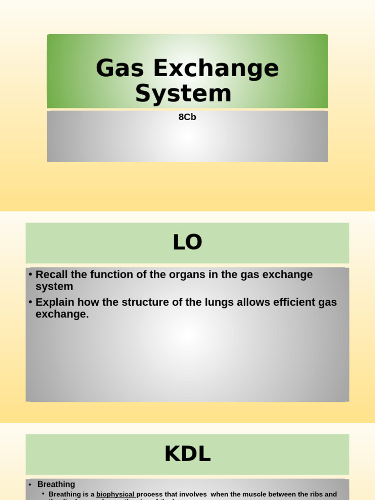 8Cb Gas Exchange System | PDF | Breathing | Lung