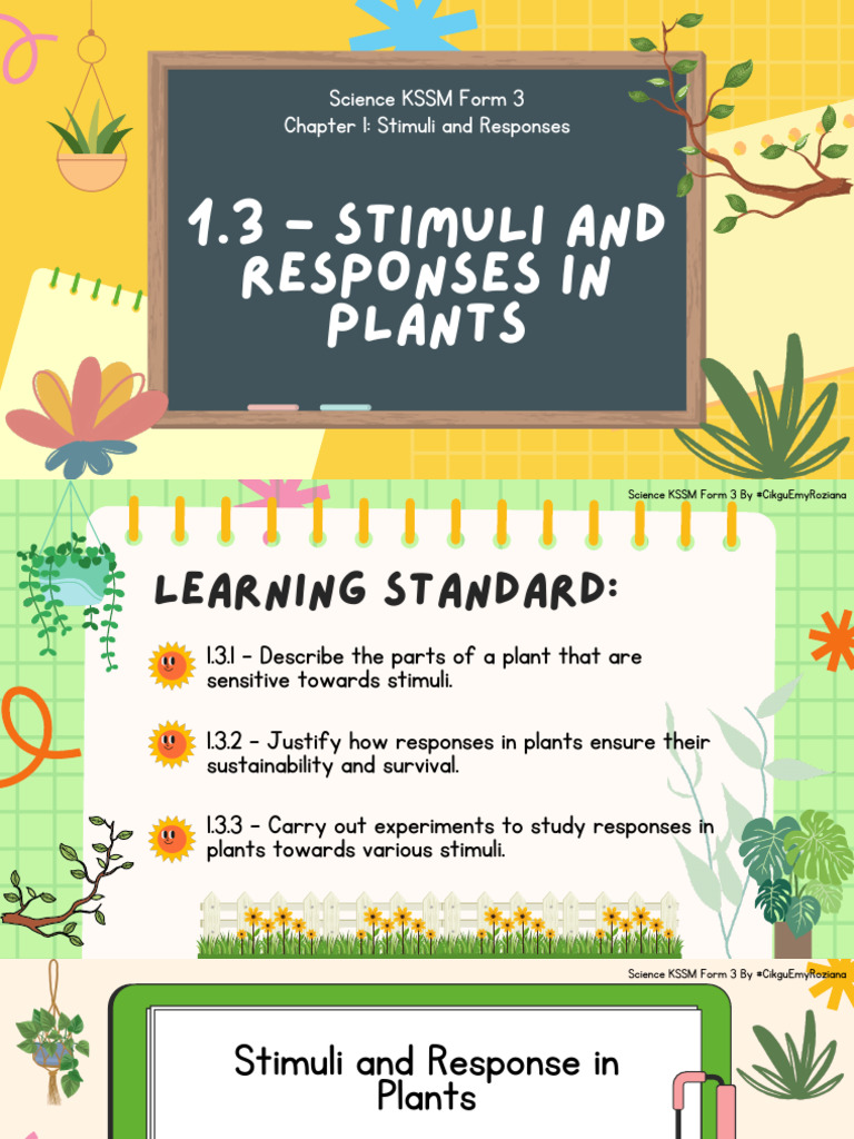 Plant Responses to Environmental Stimuli | PDF | Plants | Biology