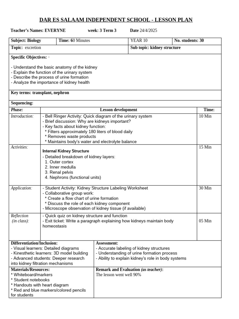 Year 10 Biology Lesson on Kidney Structure | PDF | Kidney | Urinary System