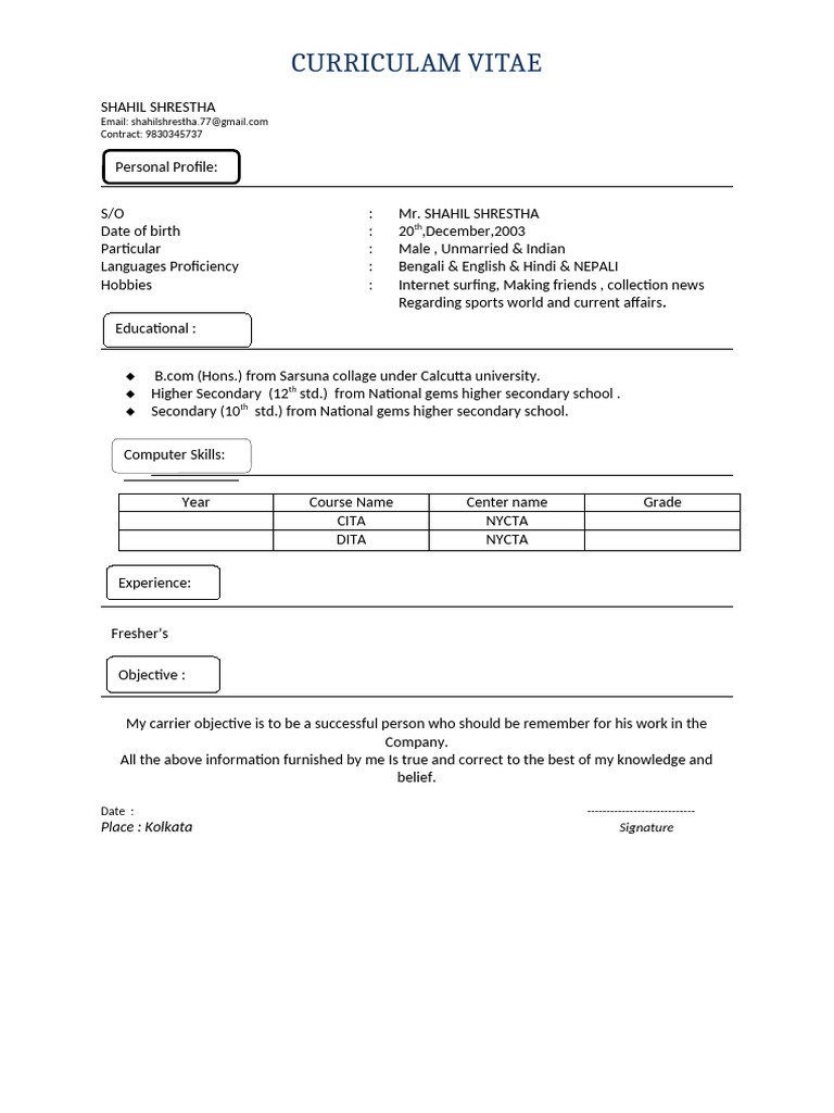 Curriculam Vitae | PDF