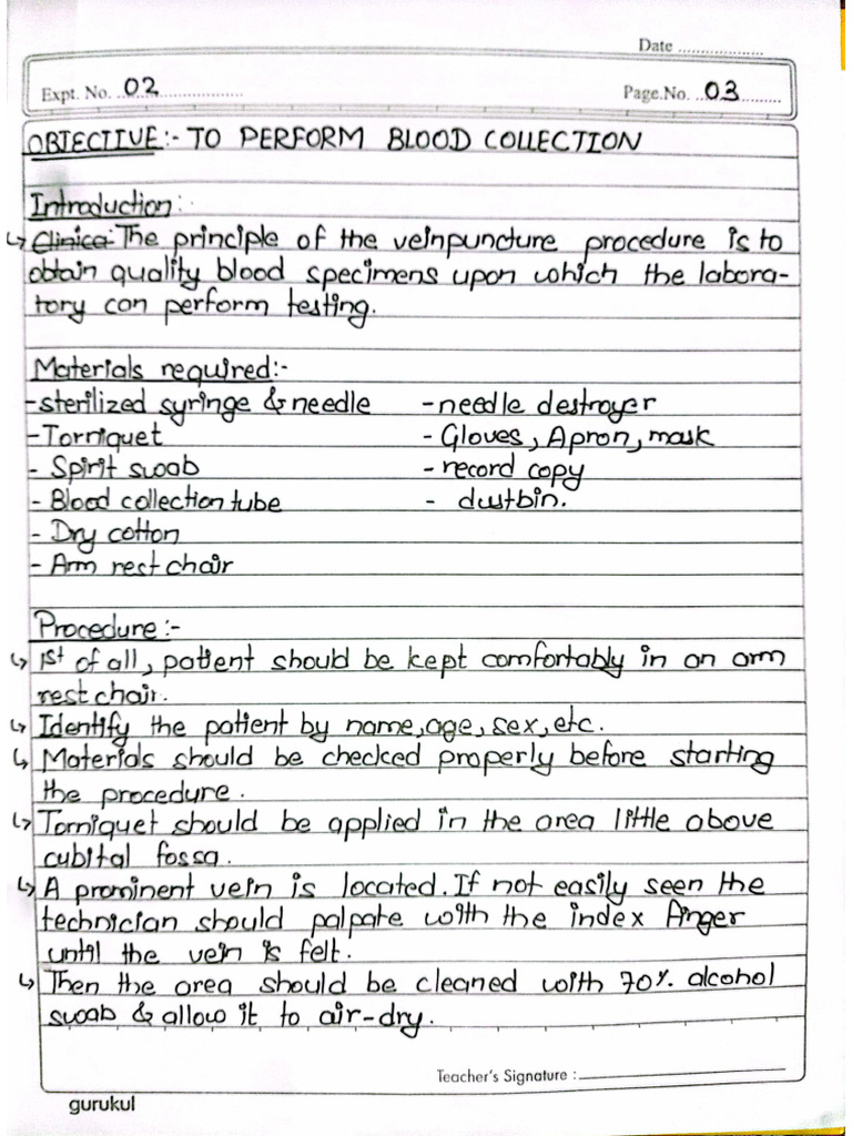 Anatomy Practical | PDF