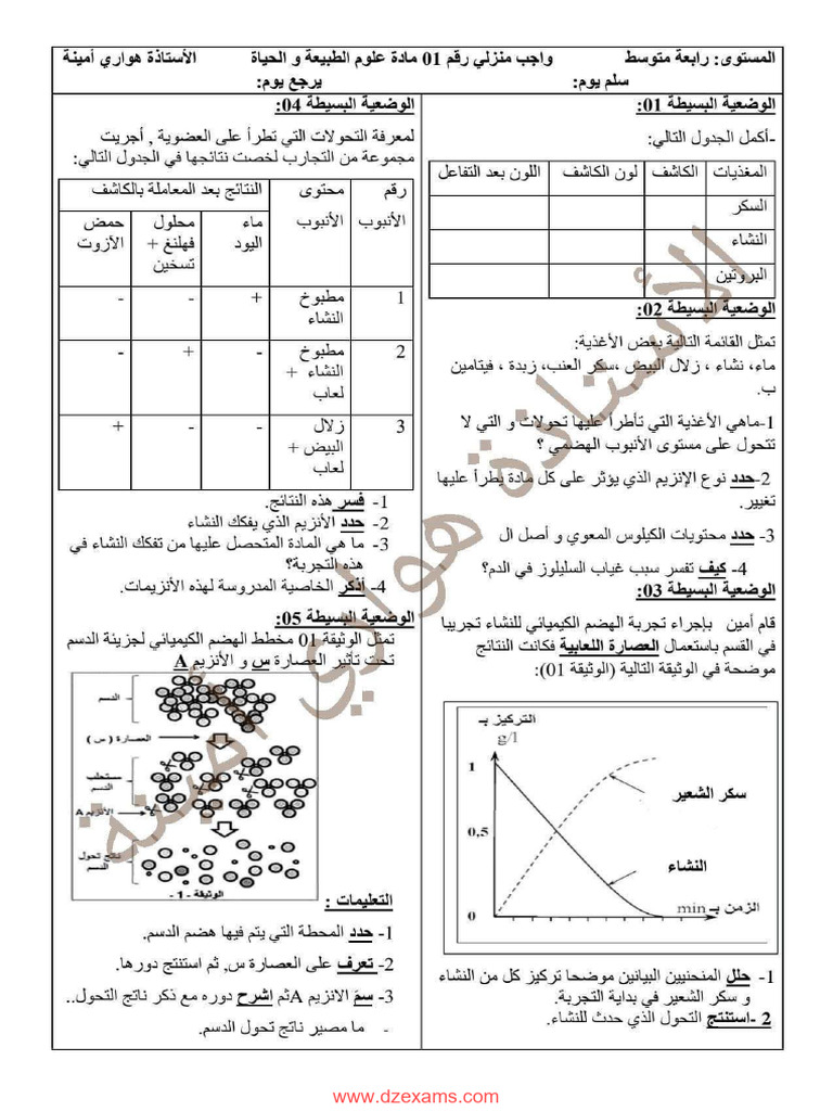 Dzexams 4am Sciences Naturelles 526308 | PDF