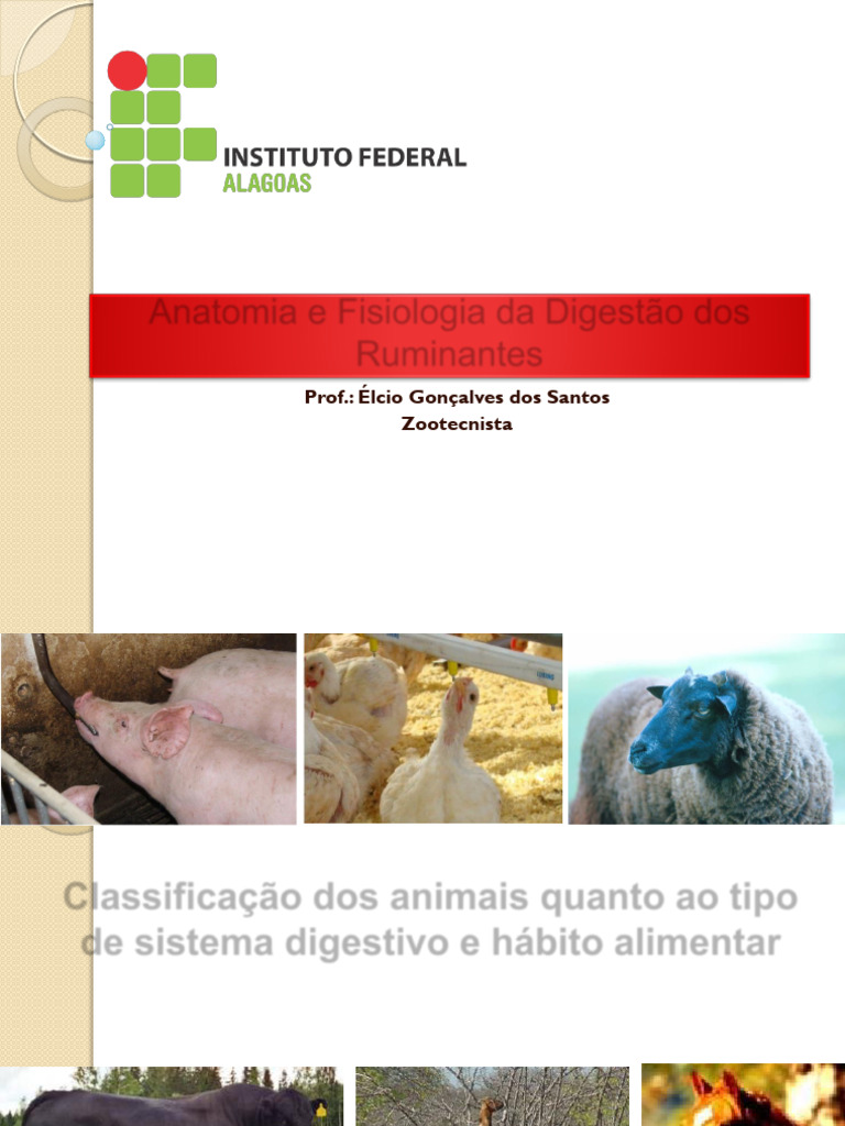 Digestão dos Ruminantes: Anatomia e Fisiologia | PDF | Ruminante | Digestão