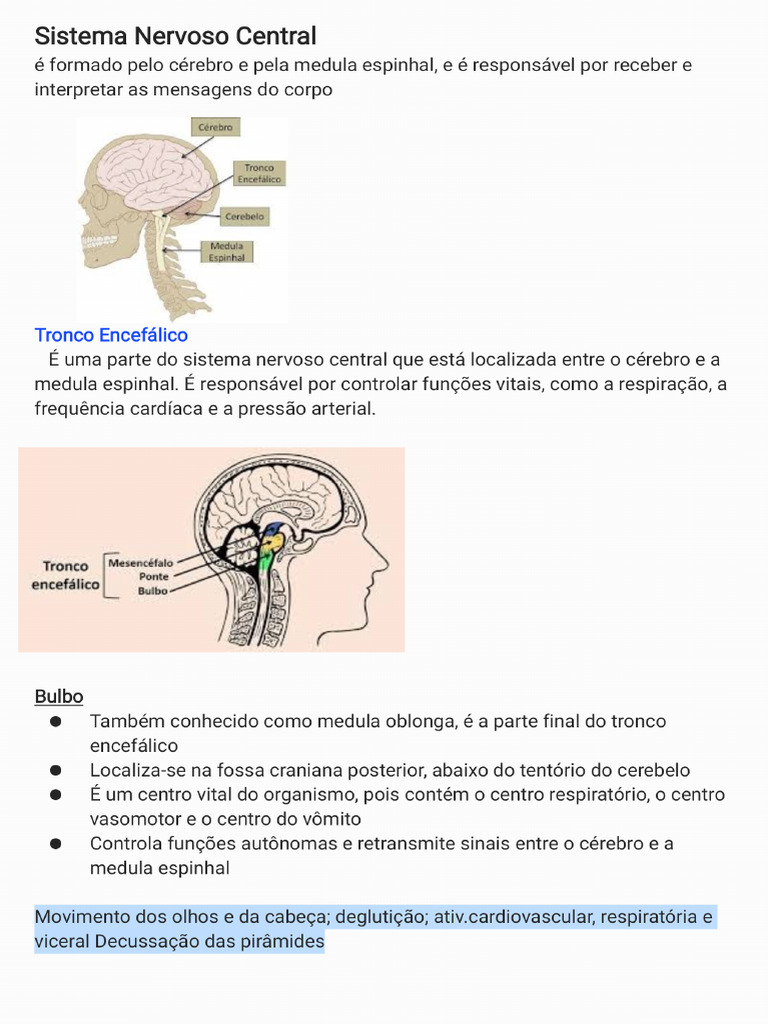 Sistema Nervoso - 250319 - 223659 | PDF