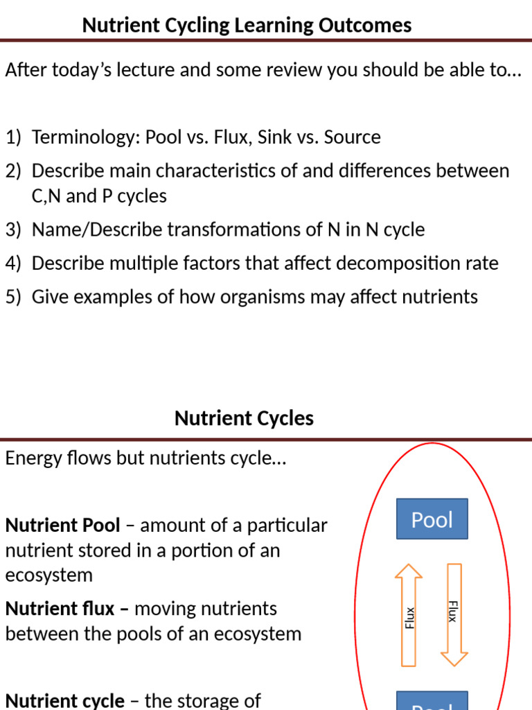 Lecture 20 - Nutrient Cycling | PDF | Decomposition | Ecosystem