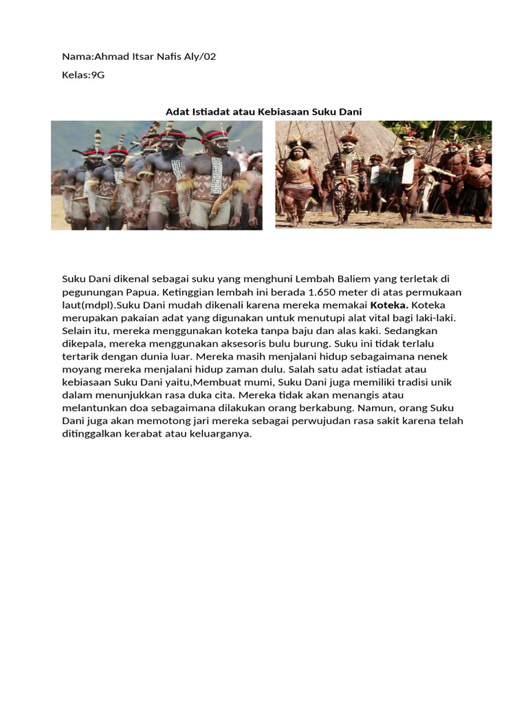 Adat Istiadat Atau Kebiasaan Suku Dani | PDF