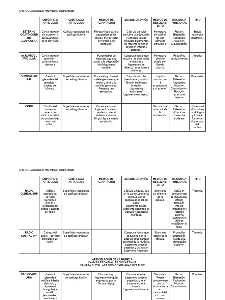 Articulaciones Ms PDF | PDF | Articulación | Codo