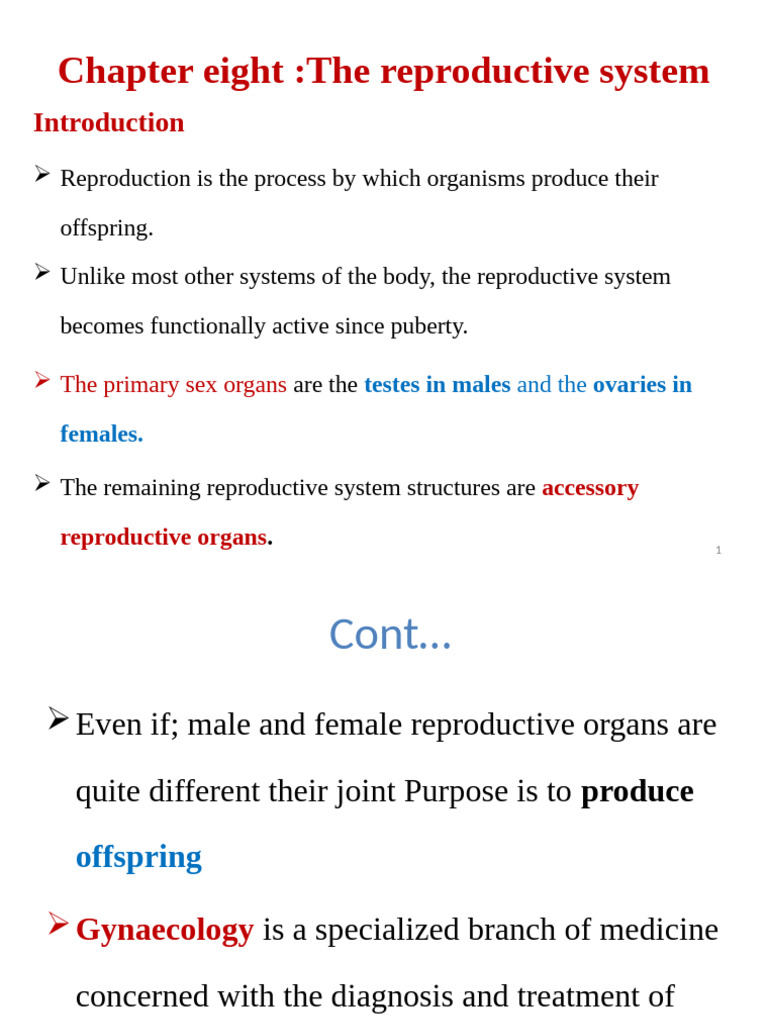 Chapter 11 Reproductive System | PDF | Uterus | Labia