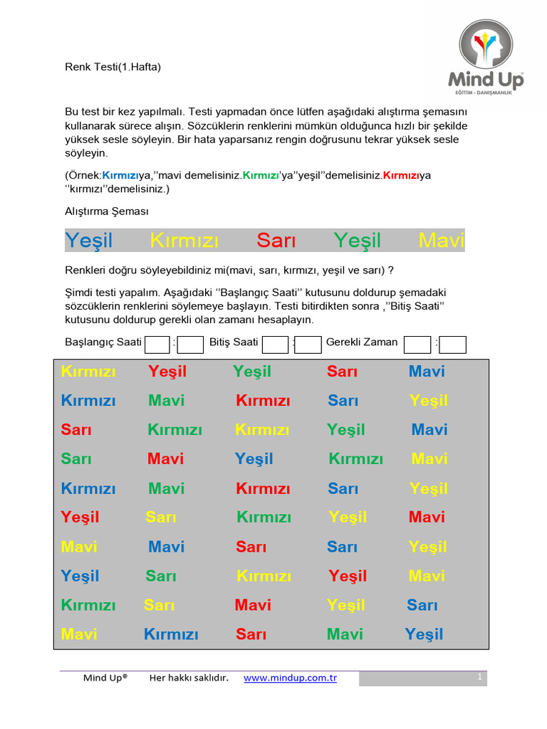 Renk Testi Test 1 | PDF