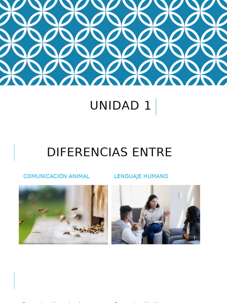 COMUNICACI%C3%93N%20LENGUA%20Y%20HABLA%20FUNCIONES%20 | PDF ...