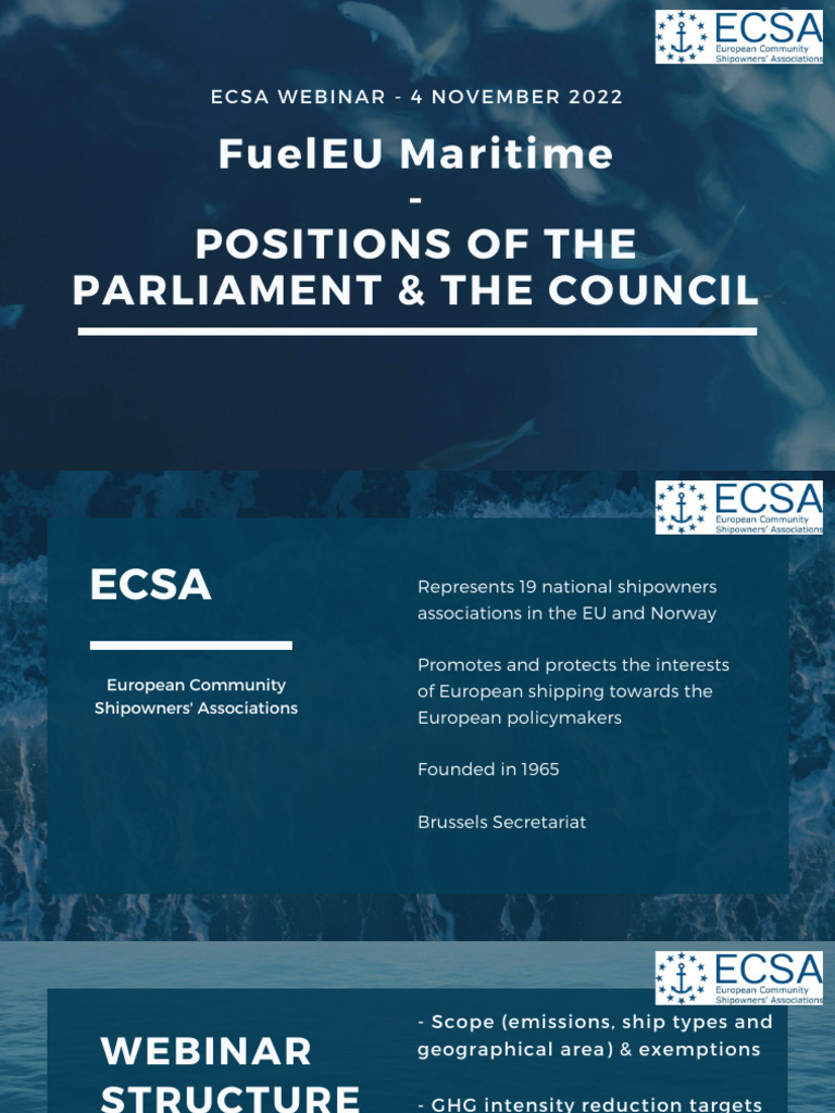 C-12864 Annex 1 - Ecsa Fem Webinar - Nov 2022 | PDF | Government Budget Balance | Climate Change