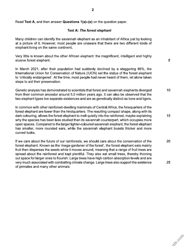 Fle Practice PPR 12 | PDF