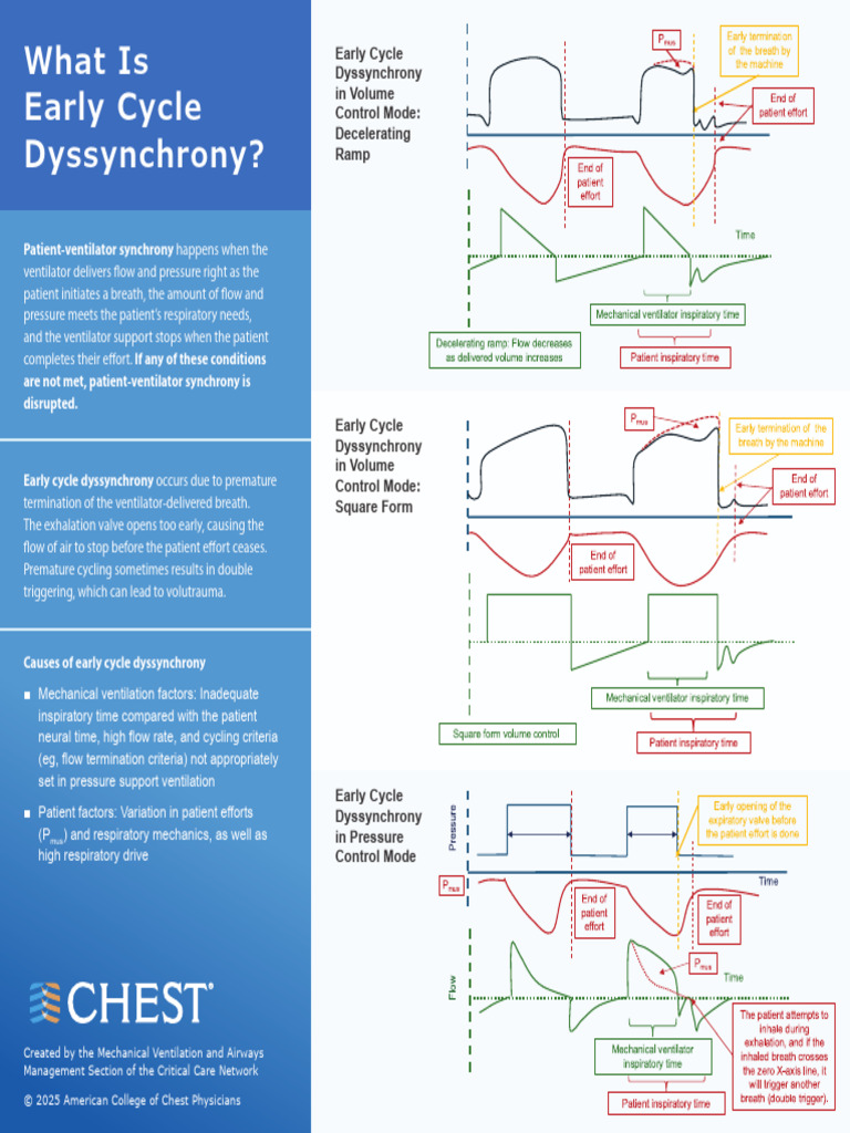 CHEST Dyssynchrony Infographic | PDF