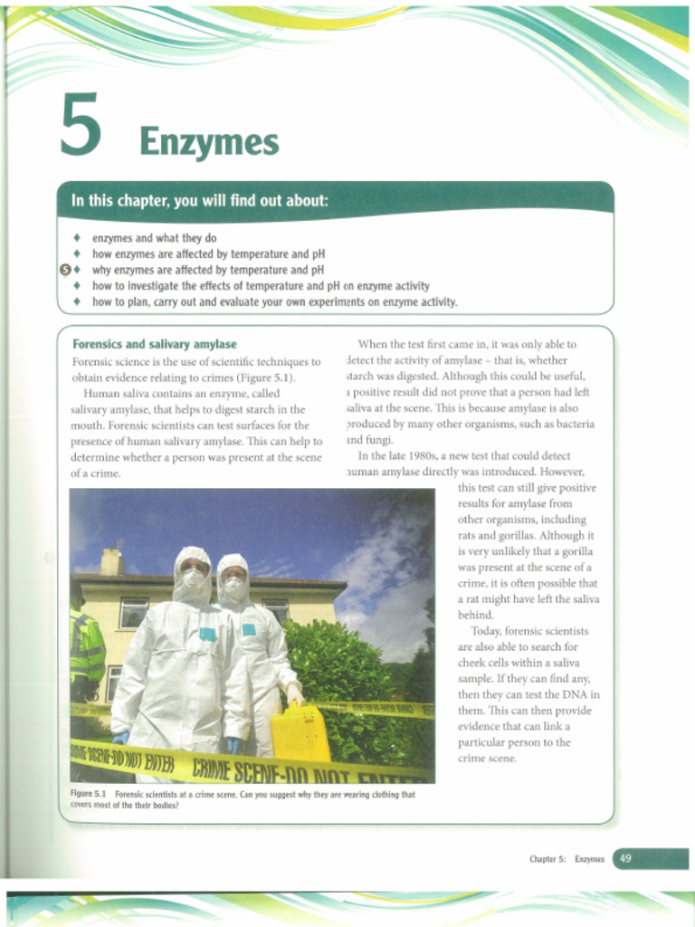 Chapter 5 Enzymes | PDF