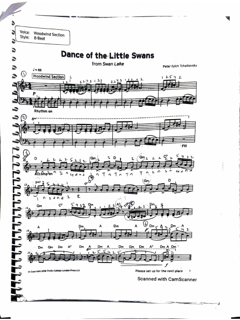 Dance of Little Swans | PDF