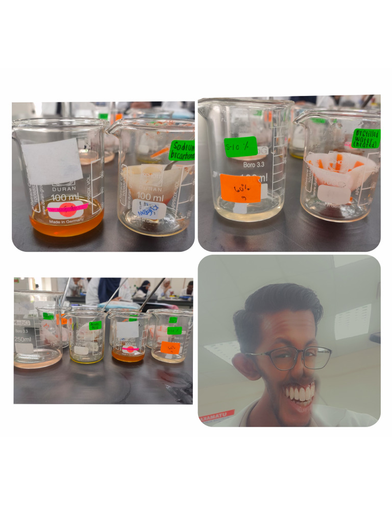 pigment lab food chemistry sem 2 | PDF