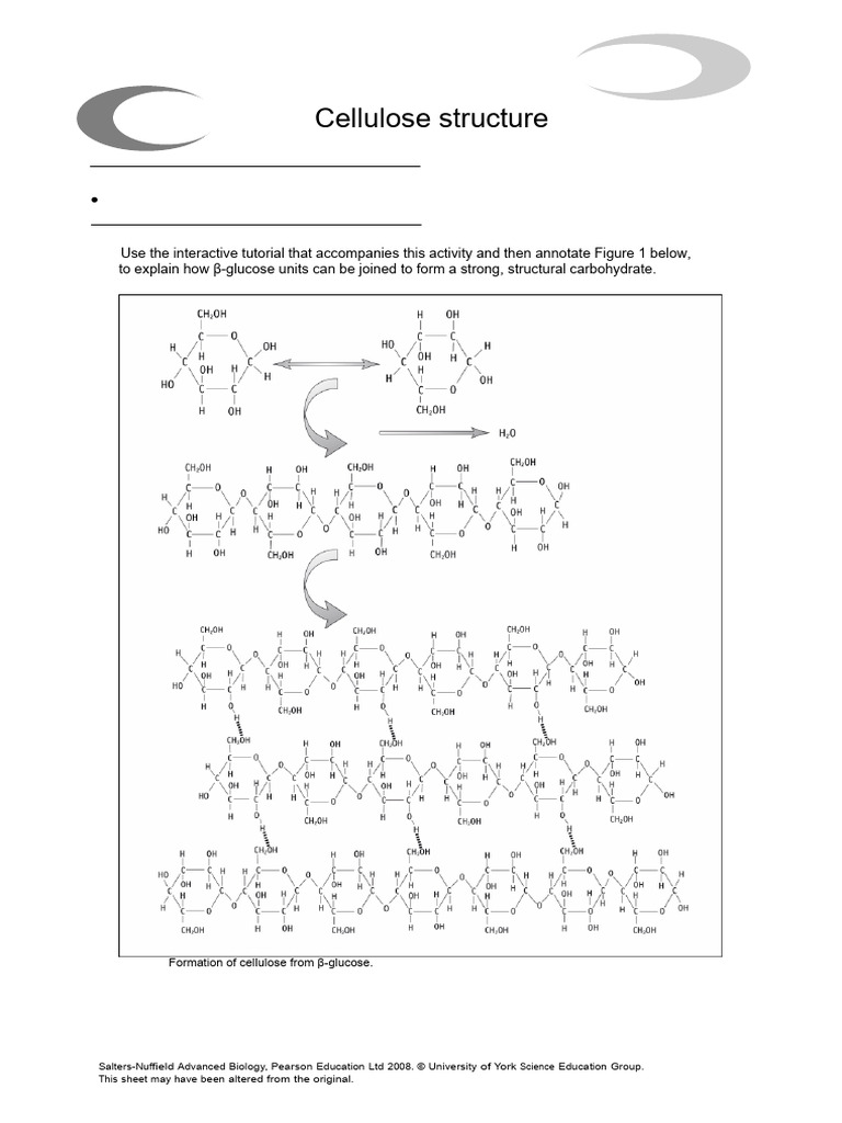Cellulose structure | PDF