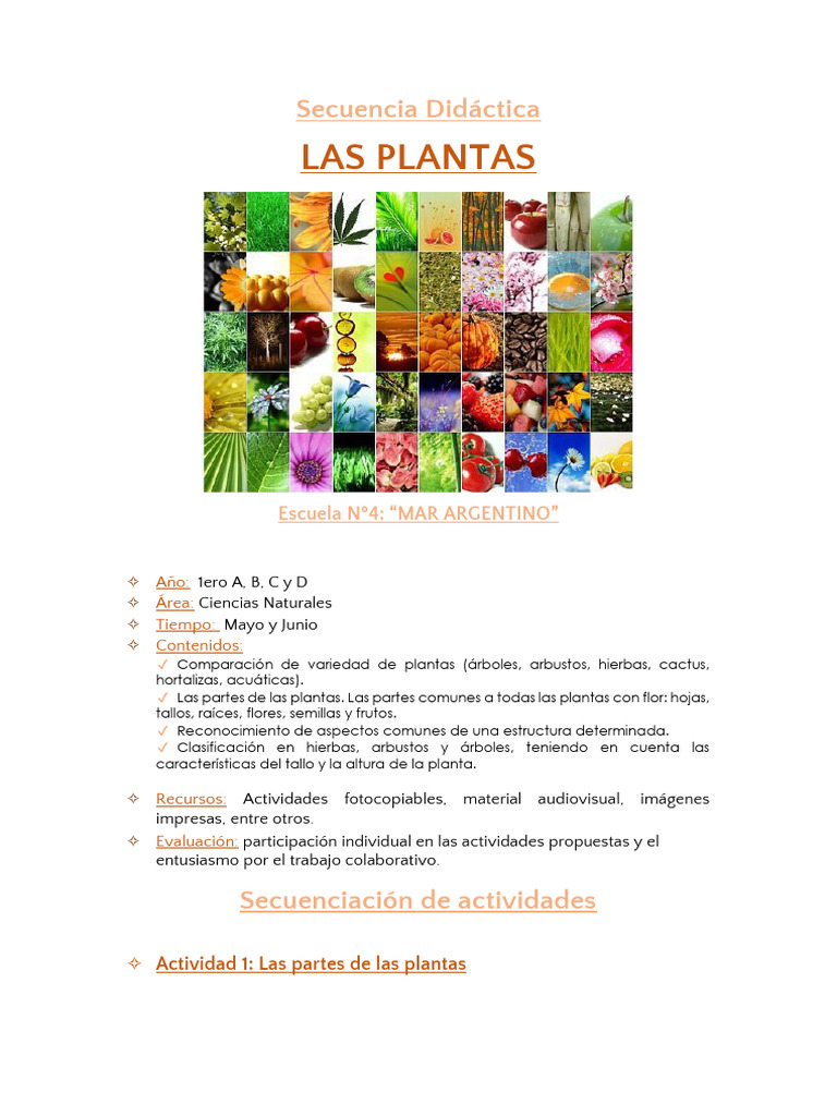 Secuencia Didáctica Primer Año Las Plantas | PDF | Plantas | Semilla