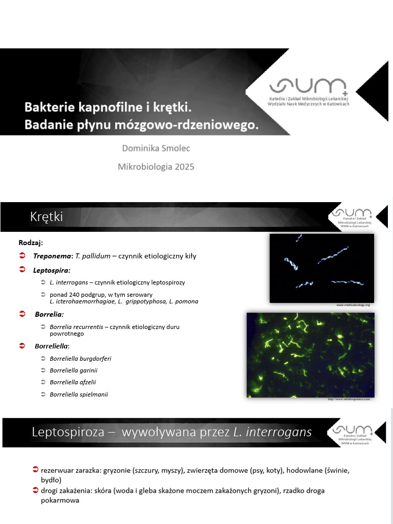 sem7 - Bakterie kapnofilne | PDF