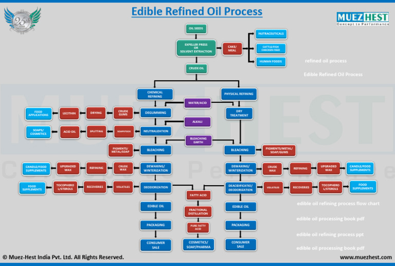 Edible Refined Oil Process | PDF | Chemical Substances | Hydrocarbons