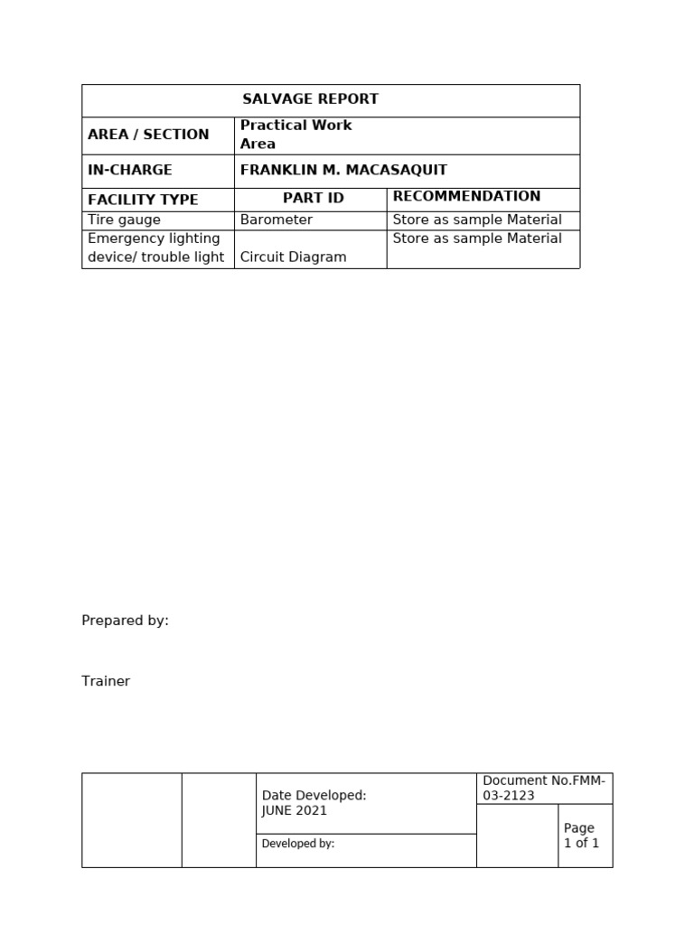Salvage Report for Practical Work Area | PDF