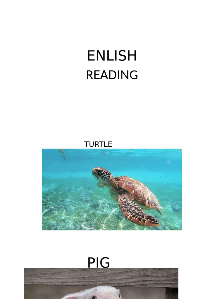 Enlish Reading For | PDF