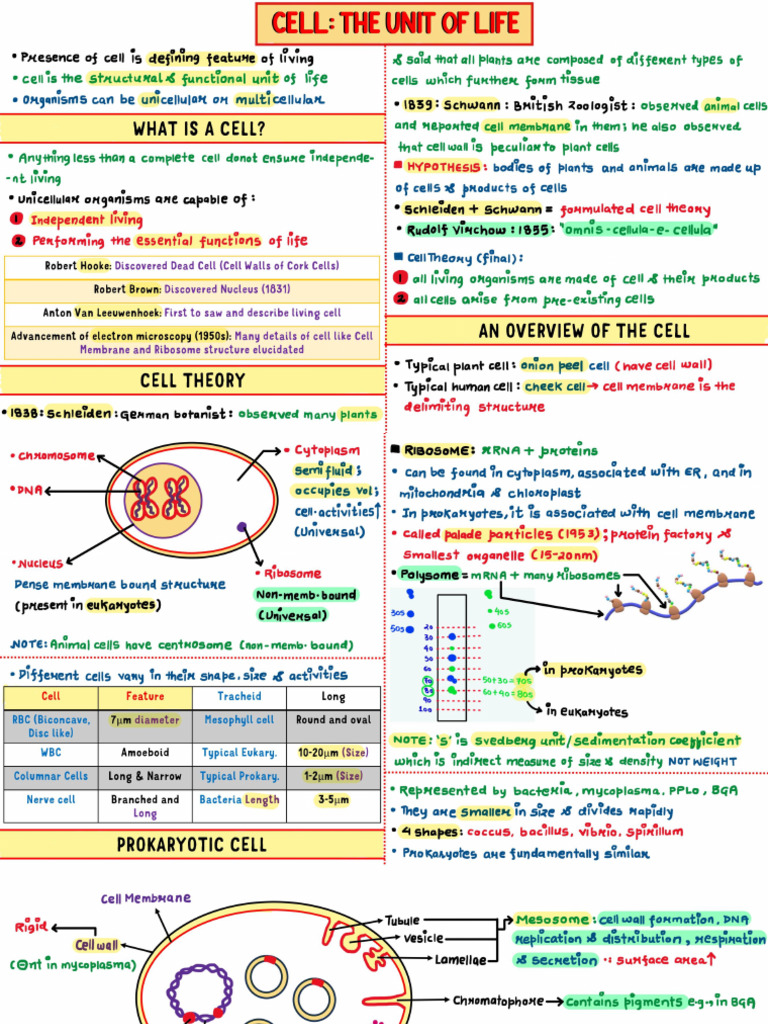 Overview of Cell Types and Structures | PDF