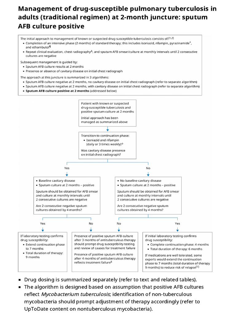 UpToDate RX TB (Trad Regimen) at 2m - Pos Sputum CX | PDF ...