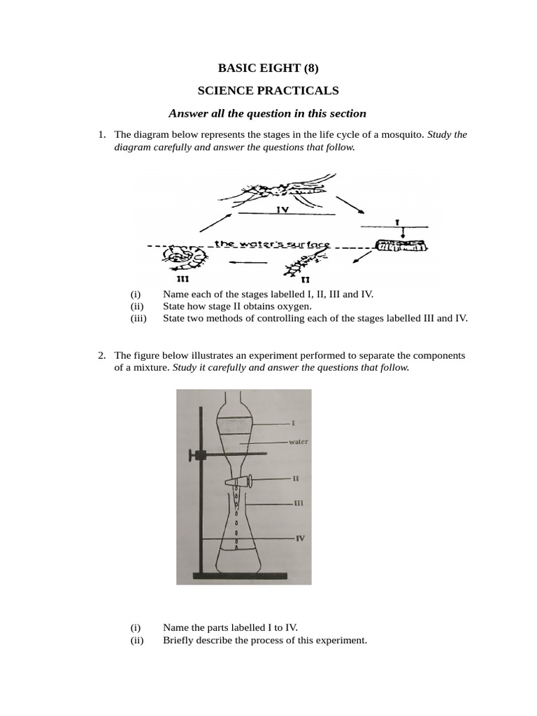 Basic 8 Science Practical Question | PDF