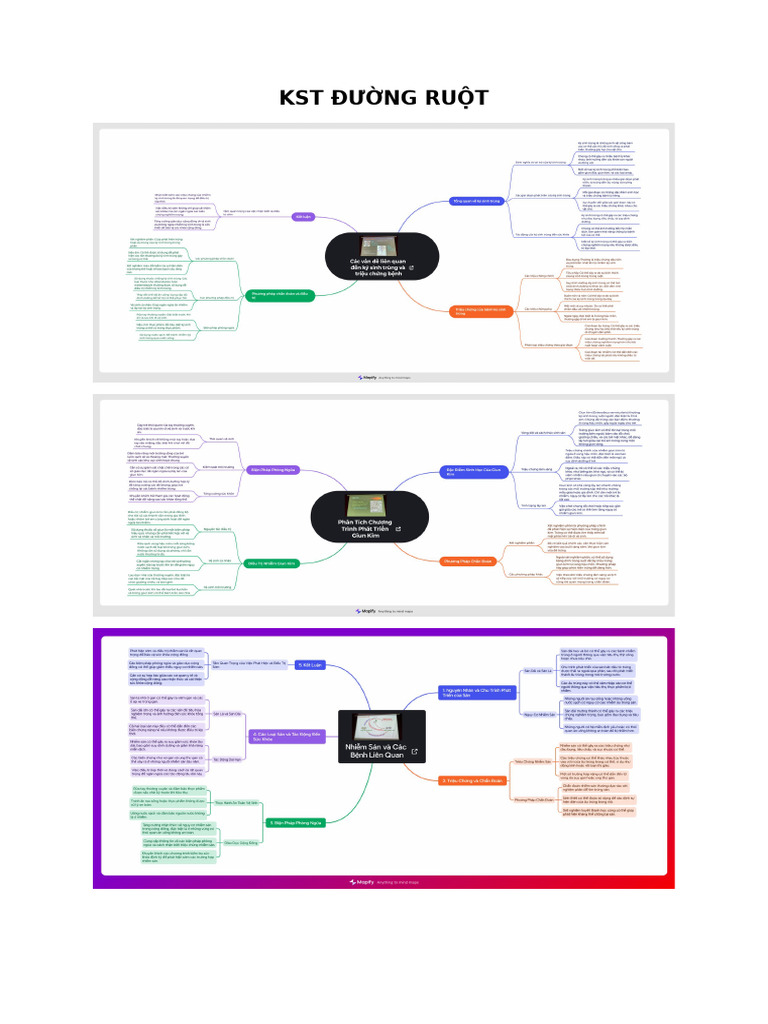 KST Đư NG Ru T | PDF
