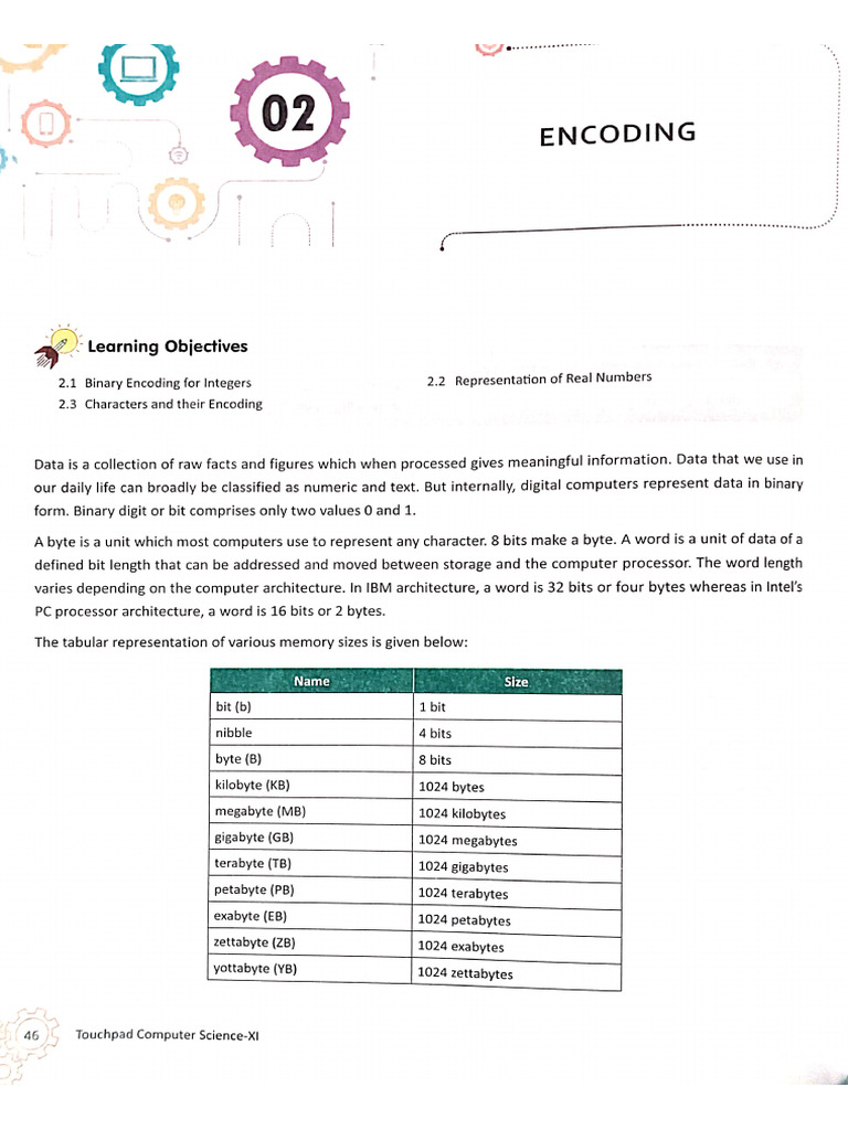 Computer CH 2 Encoding | PDF