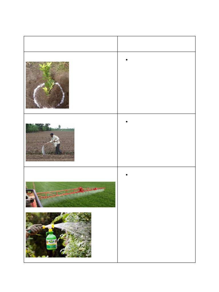 Foliar Application of Fertilizers | PDF