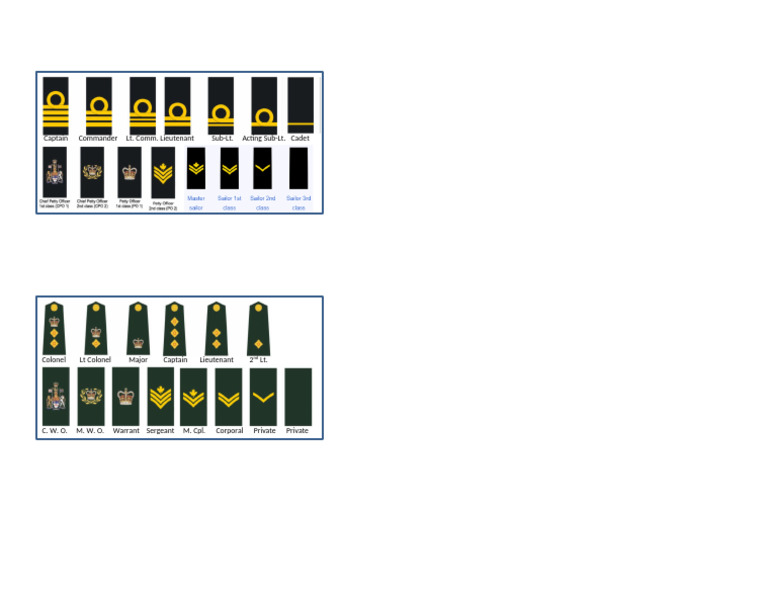 CAF Insignia2 | PDF