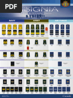 AAFC Badges of Rank | PDF