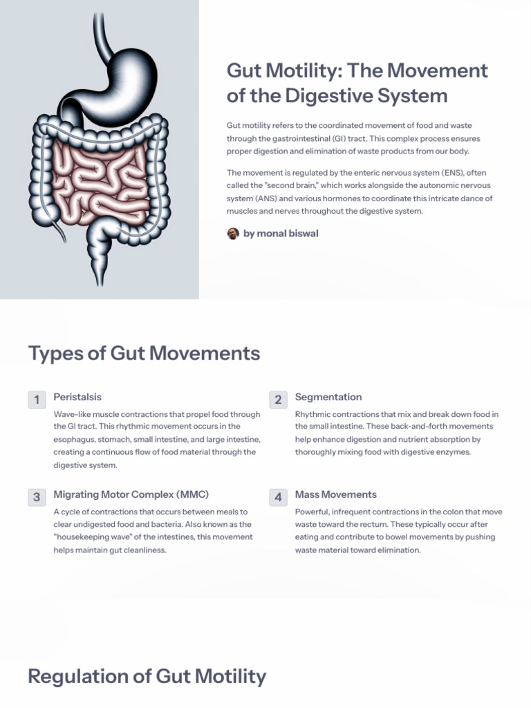 Gut Motility The Movement of The Digestive System | PDF ...