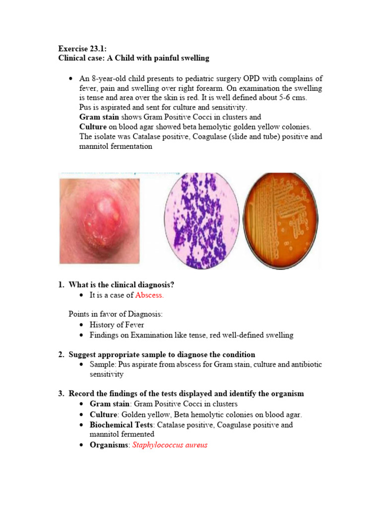 Laboratory Diagnosis of Bacterial Skin Infections | PDF ...