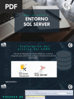 Guía Completa Cómo Ver Las Bases de Datos en SQL Server | PDF ...
