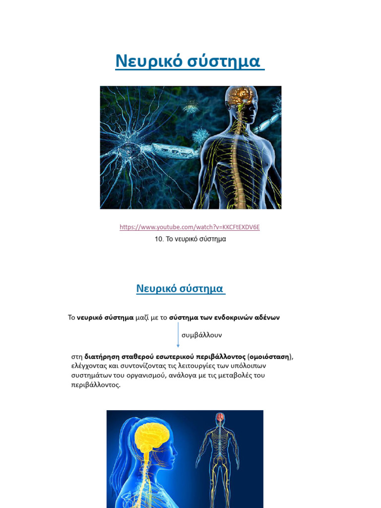 νευρικο συστημα | PDF
