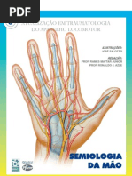 Aula 6 Ossos, Músculos, Inervação e Vascularização Do Punho e Mão | PDF ...