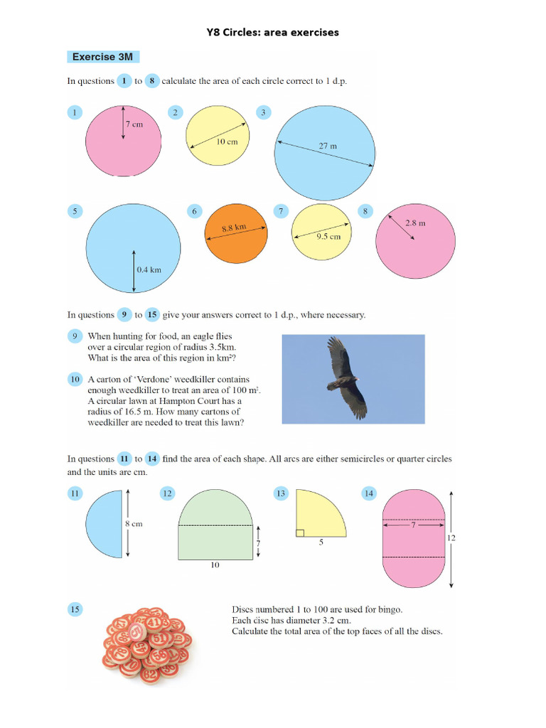 Y8 SSM Circles 2HO (1) | PDF