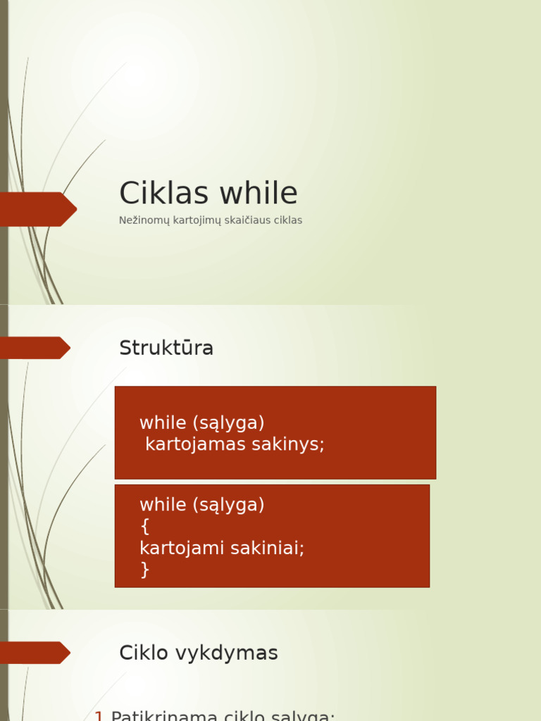 Ciklas While | PDF