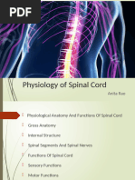 The Burke Lateropulsion Scale and Addressing Pusher Syndrome Post-Cva 1 ...