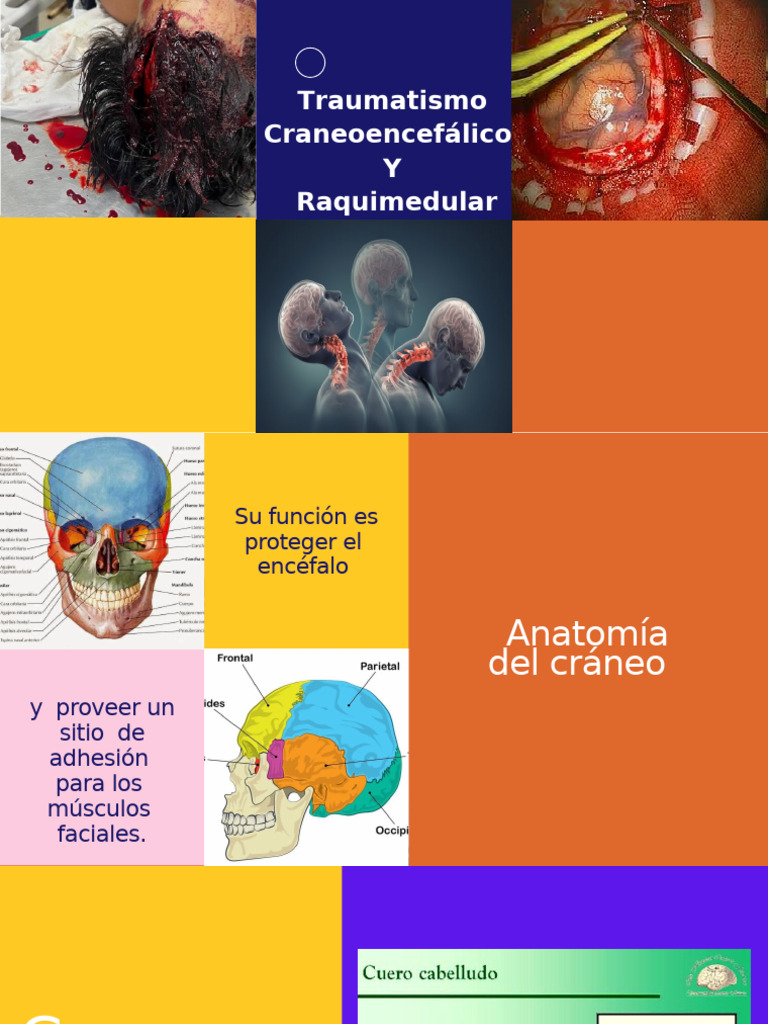 Traumatismo CE y RM | PDF | Traumatologia | Emergencias Médicas