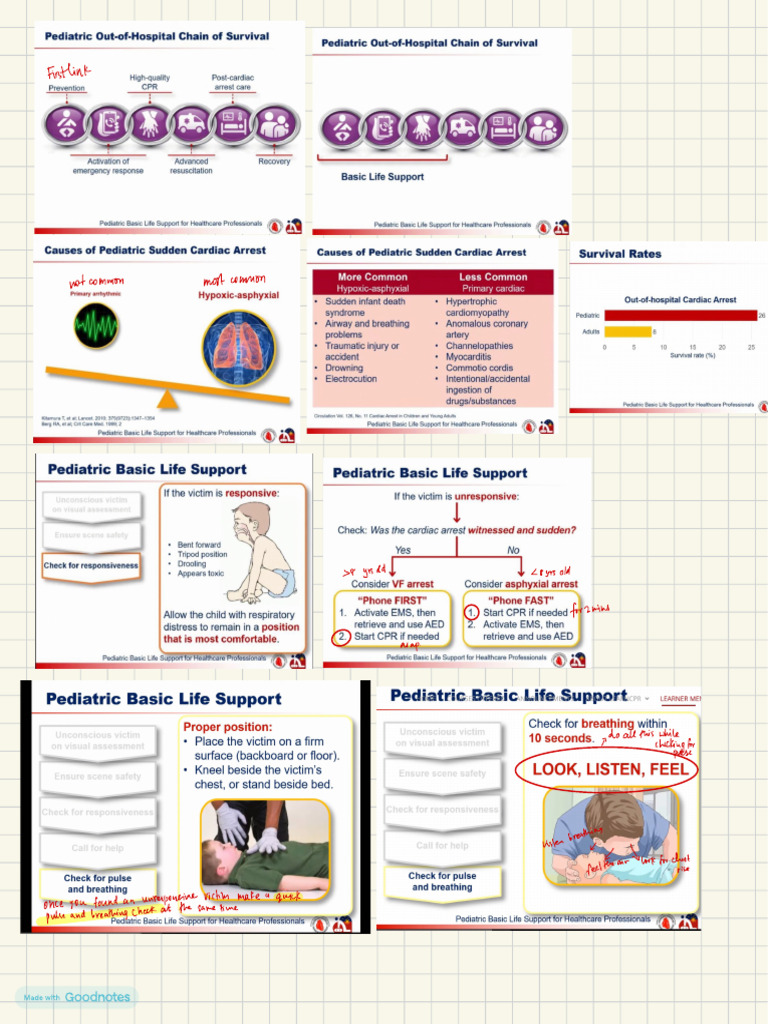 Pediatrics Notes | PDF