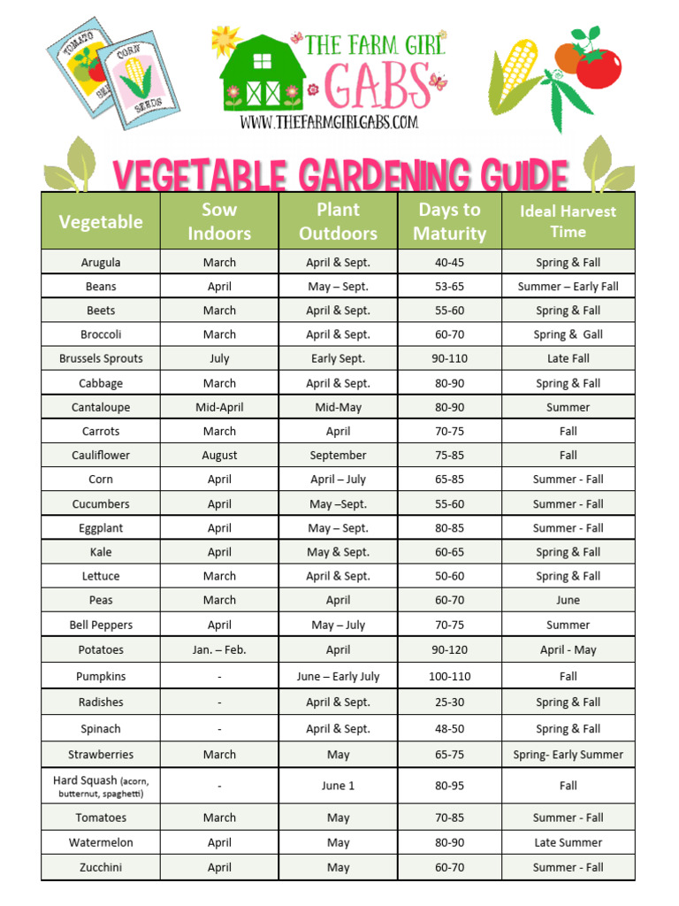 Vegetable-Gardening-Guide | PDF