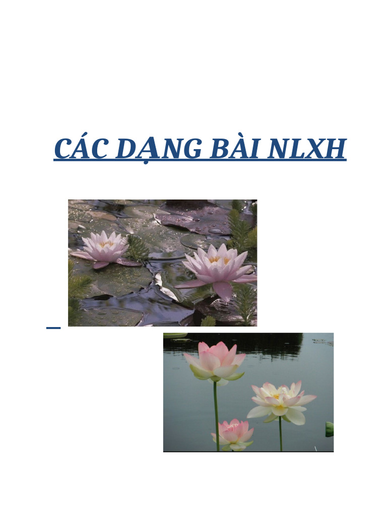 Các D NG Đo N Văn NLXH | PDF